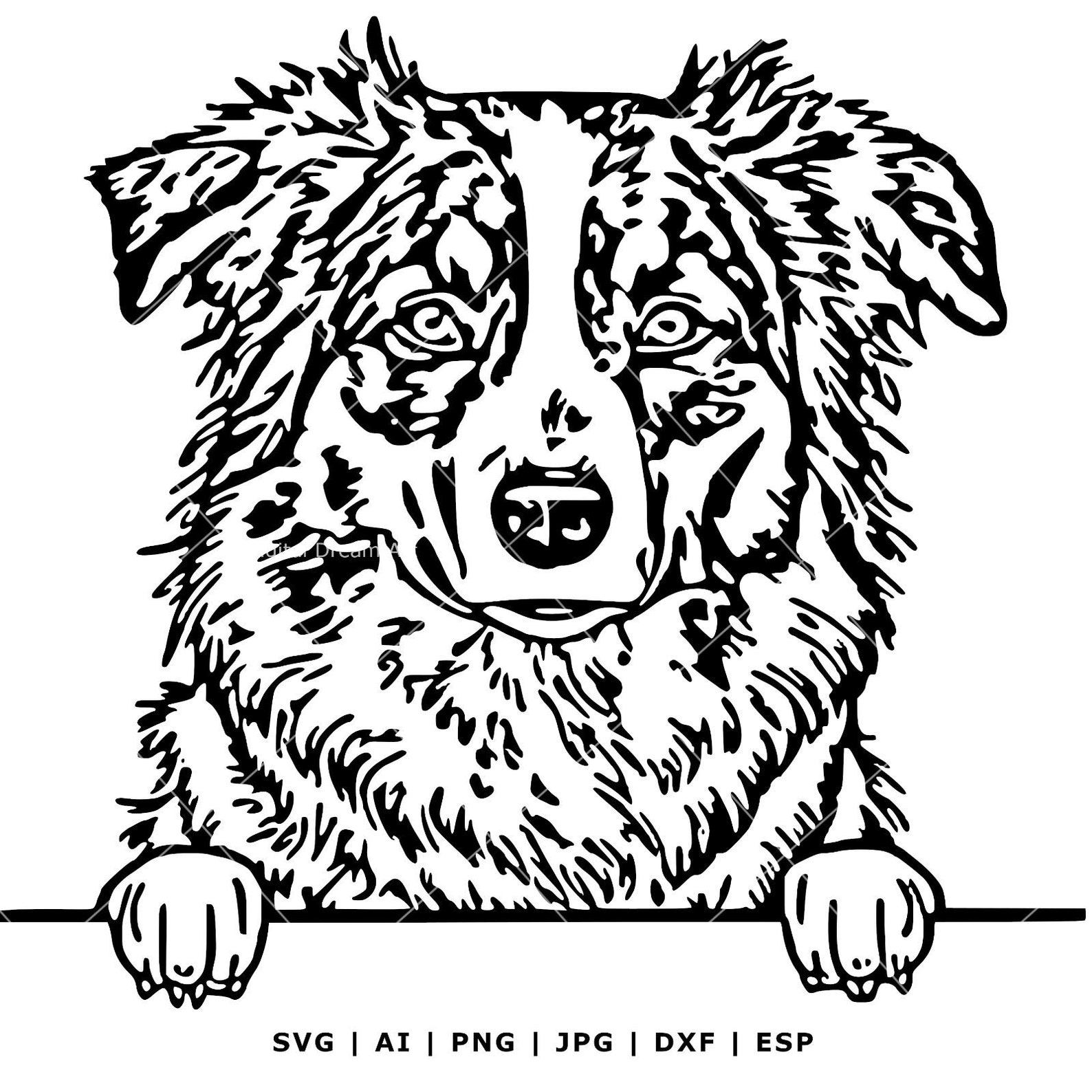 Australian Shepherd SVG Dog, Vector, DXF, PNG, Clipart Vector Graphic ...