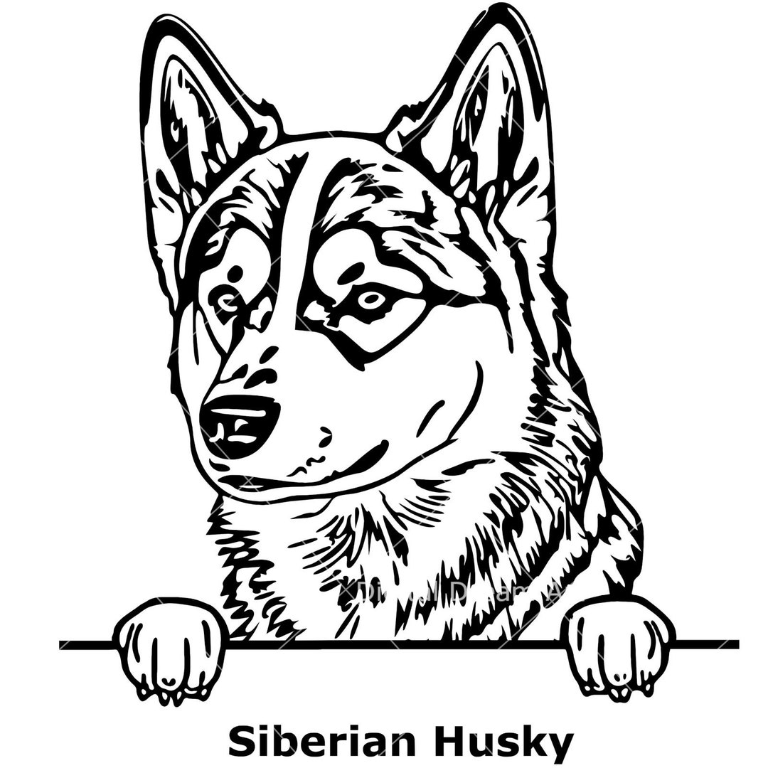 Siberian Husky SVG - Dog, Pet, Vector, DXF, PNG, Clipart - Vector ...