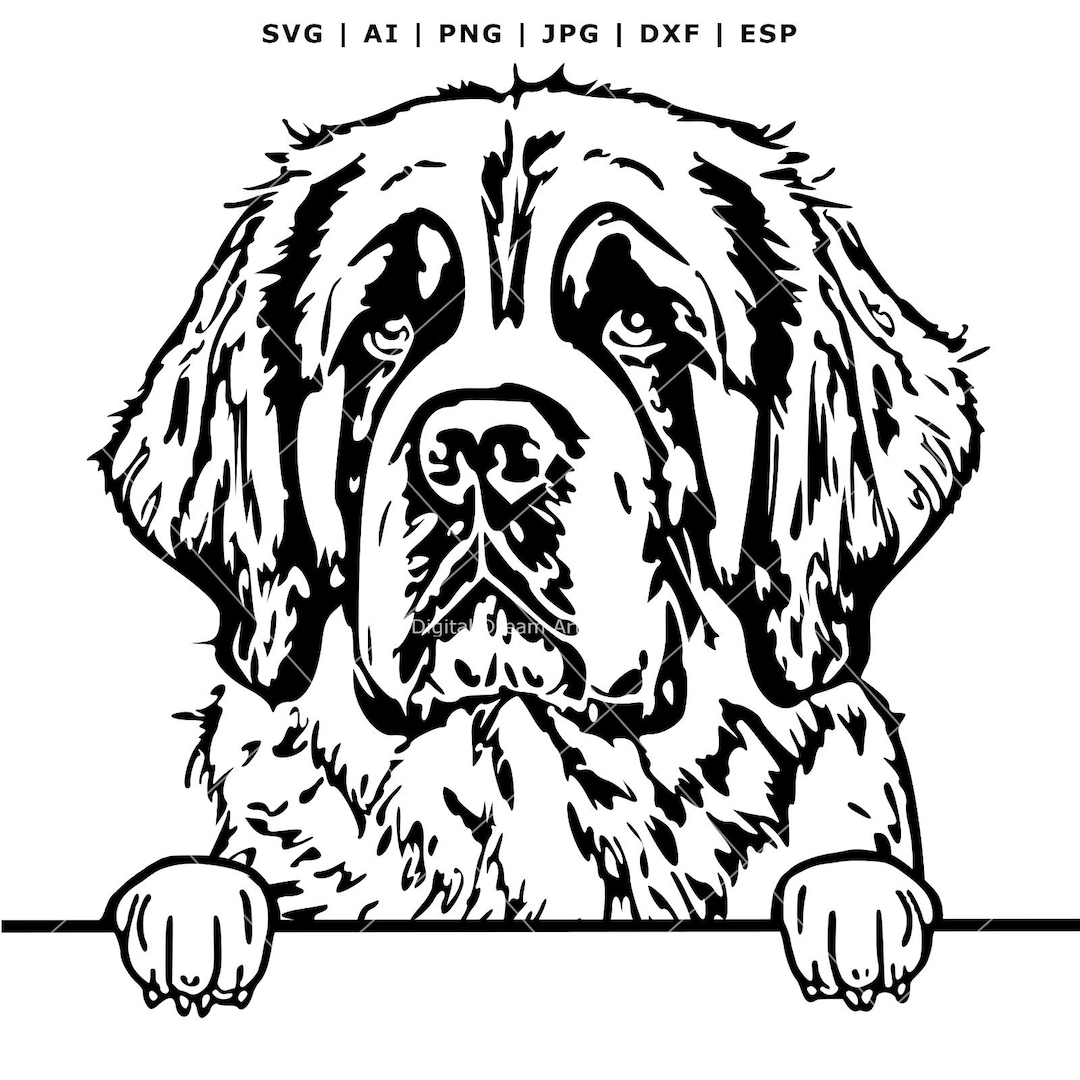 Saint Bernard SVG - Peeking Dog Vector, DXF, PNG, Clipart - Vector ...
