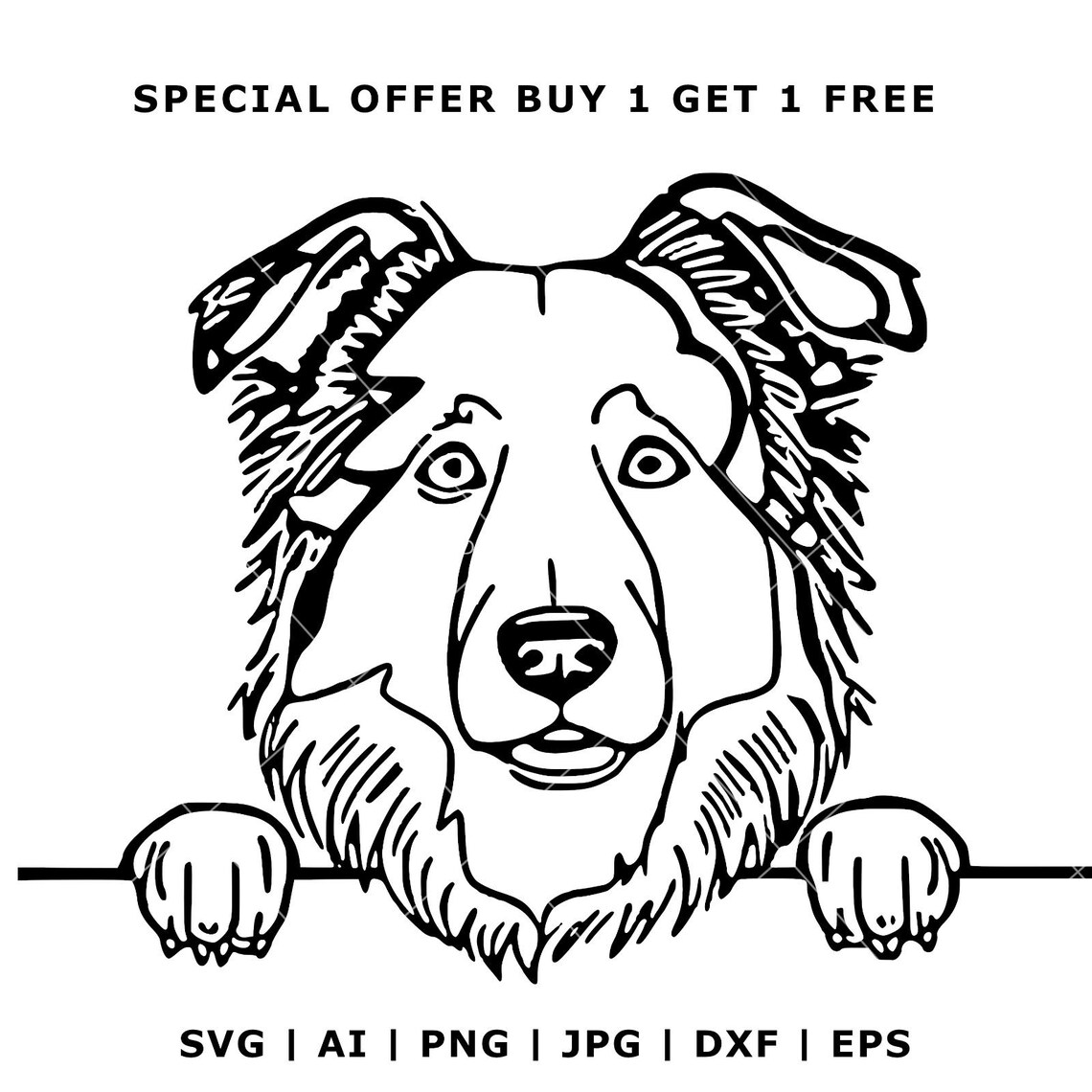 Border Collie SVG Dog, Vector, DXF, PNG, Clipart, Tattoo Vector Graphic ...