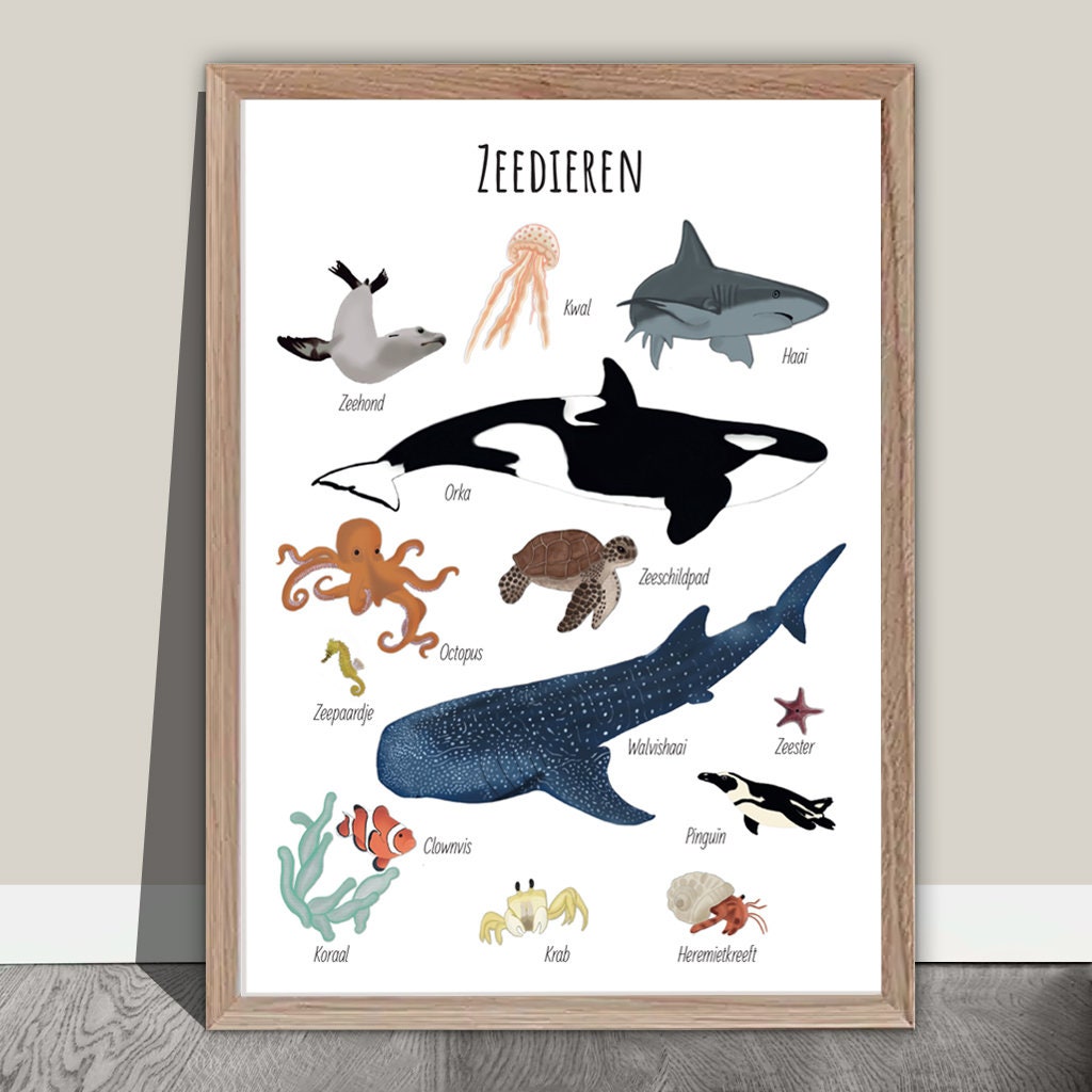 Sea Animals Poster Sea Animals Decoration Ocean Animals Sea Animals ...