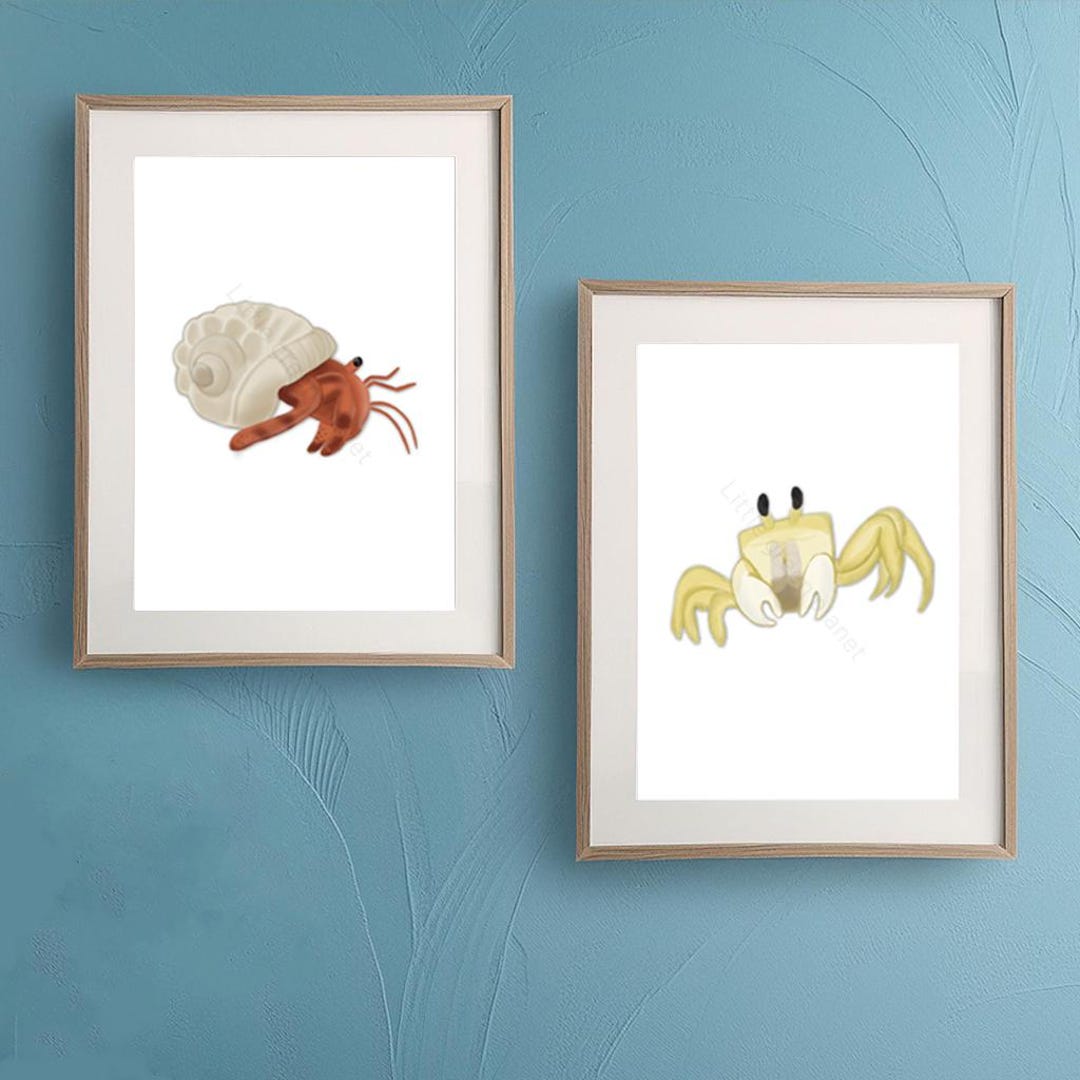 Sea Animals Poster Set - Crab Poster - Hermit Crab Poster - Children's ...