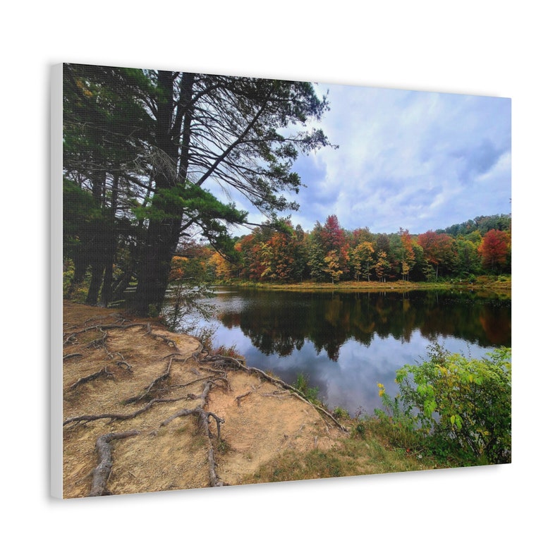 Science Lake Allegany State Park Canvas - Etsy