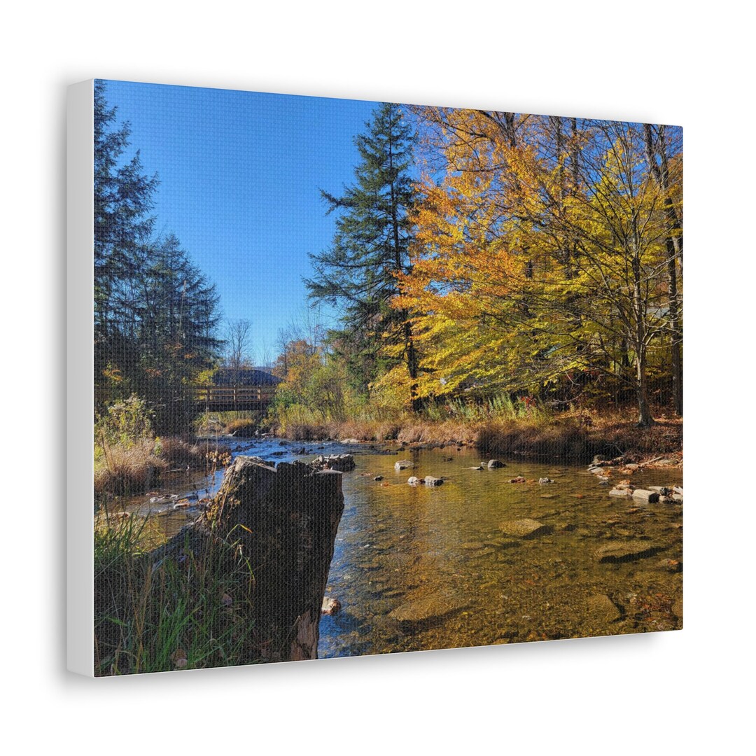 Allegany State Park Buffalo Trail Canvas Wall Art - Etsy