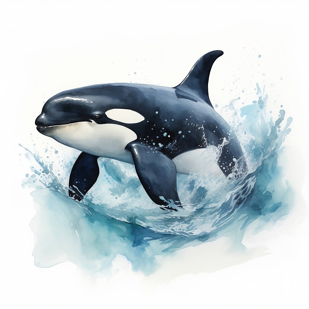 Killer Whale Watercolour Printable, Digital Download, Clip Art, Wall ...