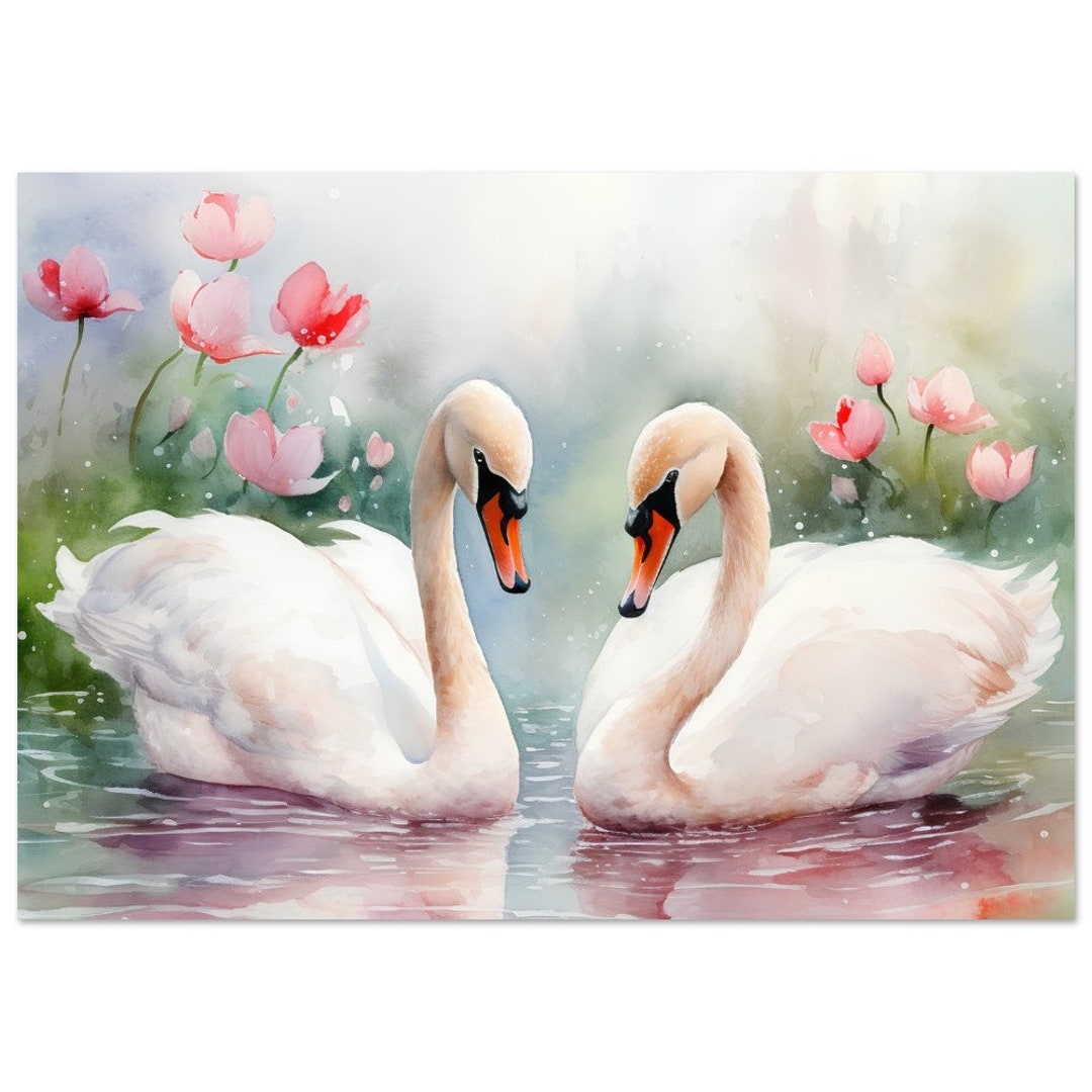 Two Beautiful Swans Watercolour, Painting, Print, Poster, Picture, Wall ...