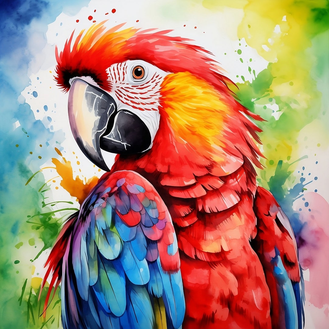 Parrot Watercolour Printable, Digital Download, Clip Art, Wall Art ...