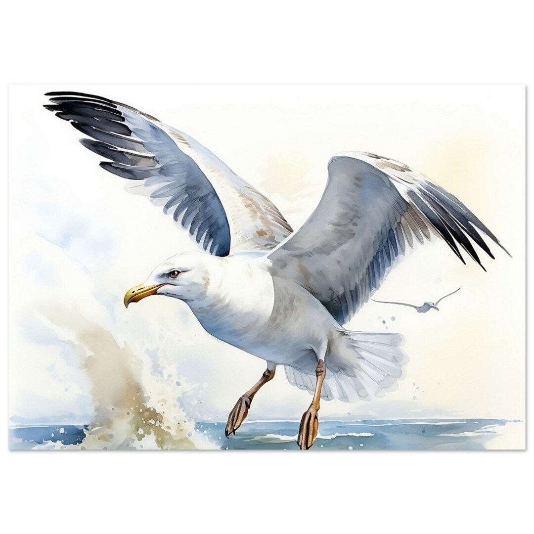 Seagull Watercolour Print - Etsy