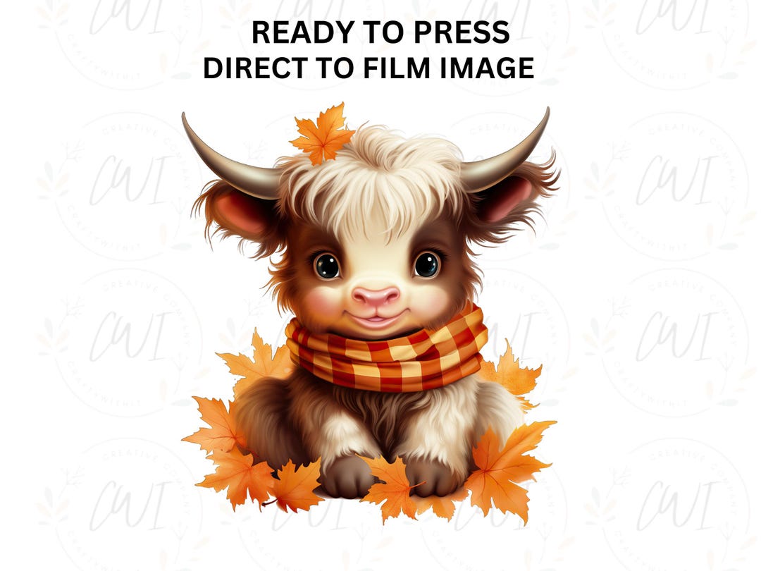 Baby Highland Cow, DTF Transfer, DTF Transfer Ready to Press, DTF ...