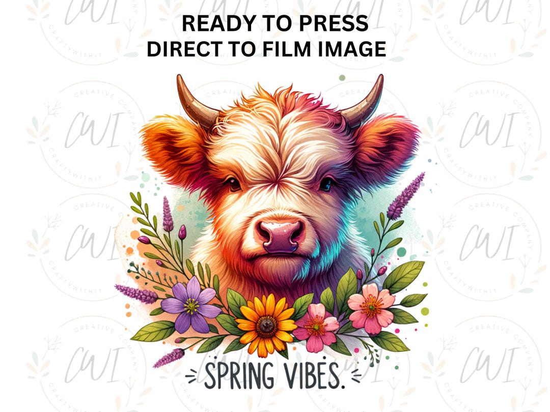 Spring Vibes, Highland Cow DTF, Sunflower Direct to Film, Cow and ...