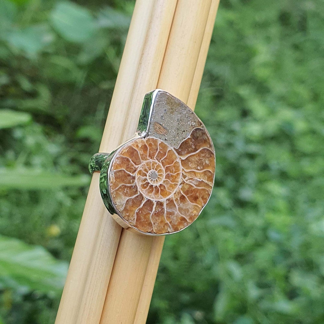 Shell Ammonite Fossil Ring Beach Jewelry 925 Sterling Silver Shell Ring ...