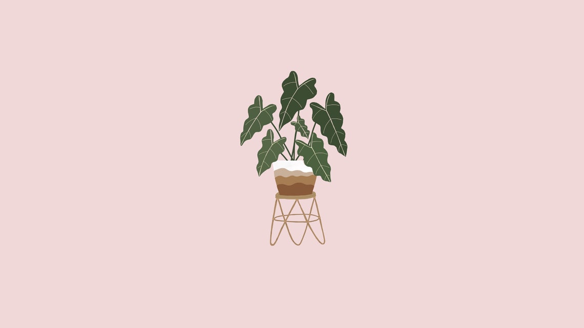 Boho Minimalist Plant Desktop Wallpaper for Mac | MacBook Wallpaper ...