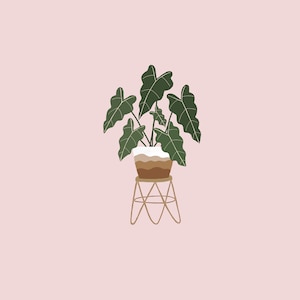 Boho Minimalist Plant Desktop Wallpaper for Mac | MacBook Wallpaper ...