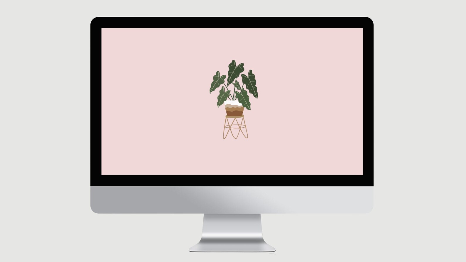 Boho Minimalist Plant Desktop Wallpaper for Mac | MacBook Wallpaper ...