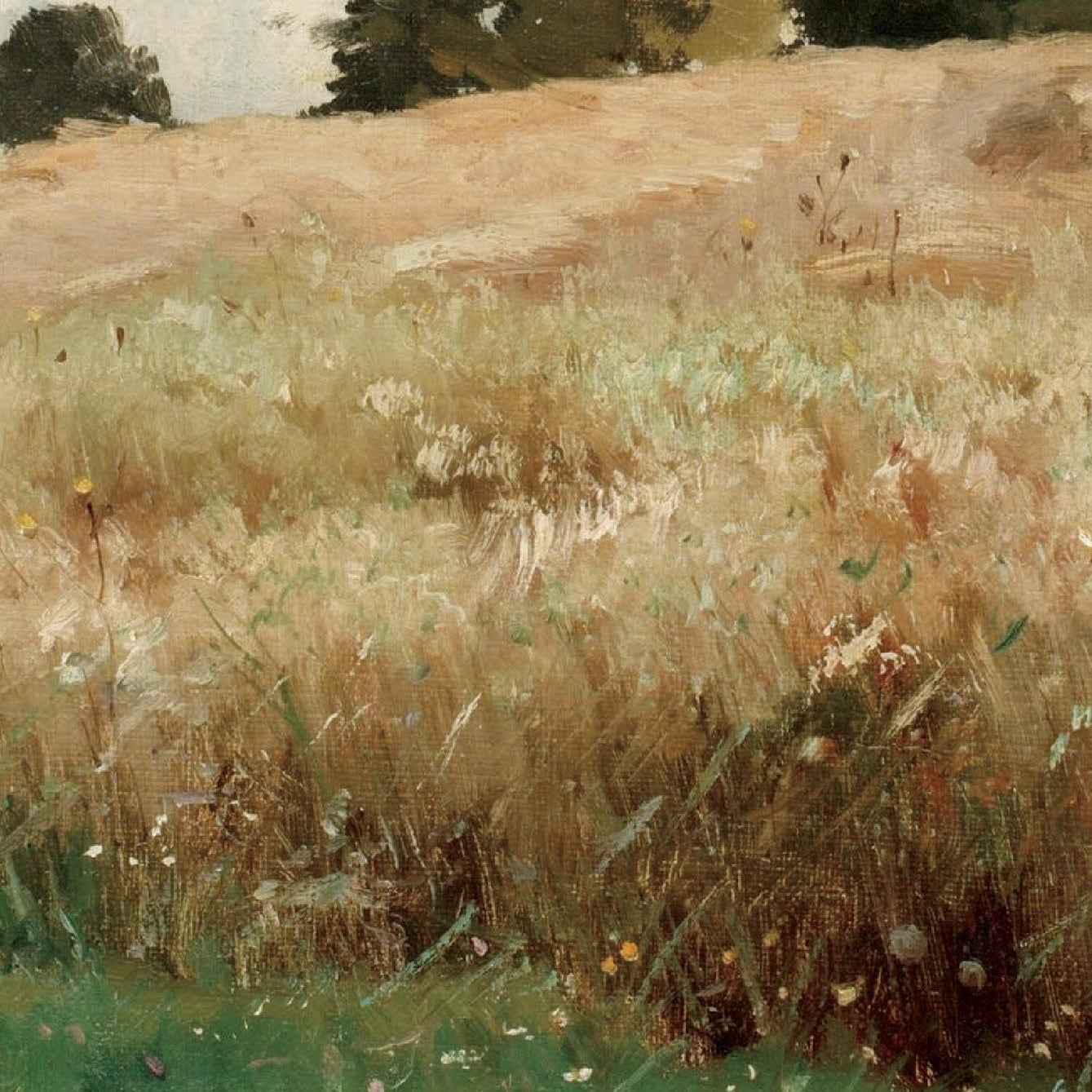 Oat Field Nature Meadow Cottagecore Landscape of Spring Summer Vintage ...