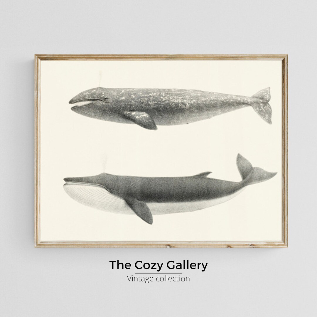 Sketch Whales Vintage Minimalist Printable Art, Nautical Drawing Whale ...