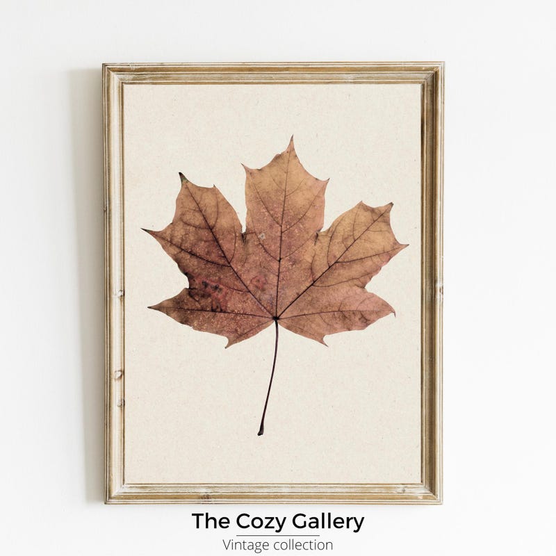 Maple Leaf Print - Etsy