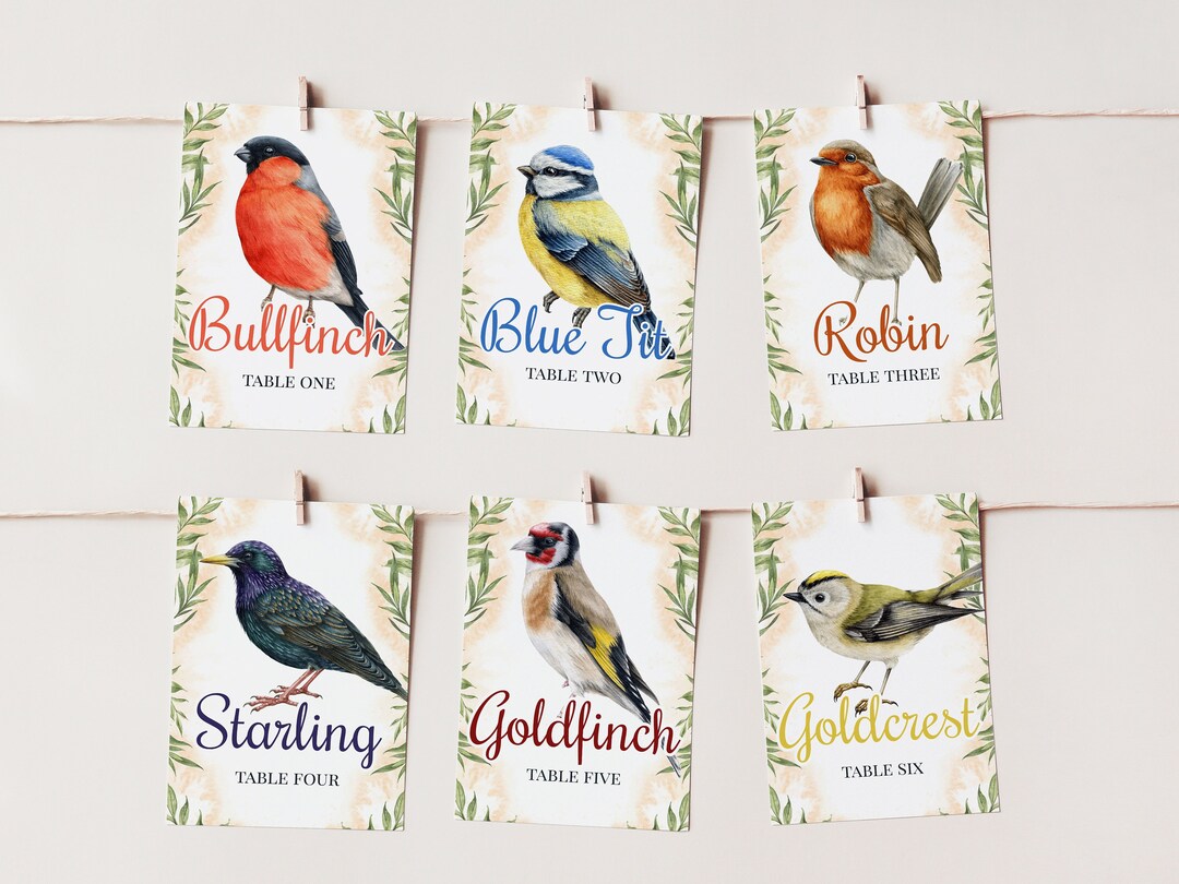 Birds Wedding Table Cards Template Bird Illustrations Nature Wedding ...