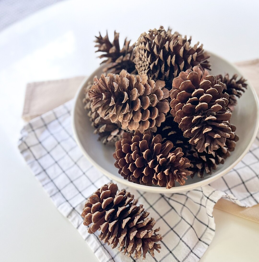 Cinnamon Pinecones | Real Pinecones | Classic Holiday Décor | Natural ...