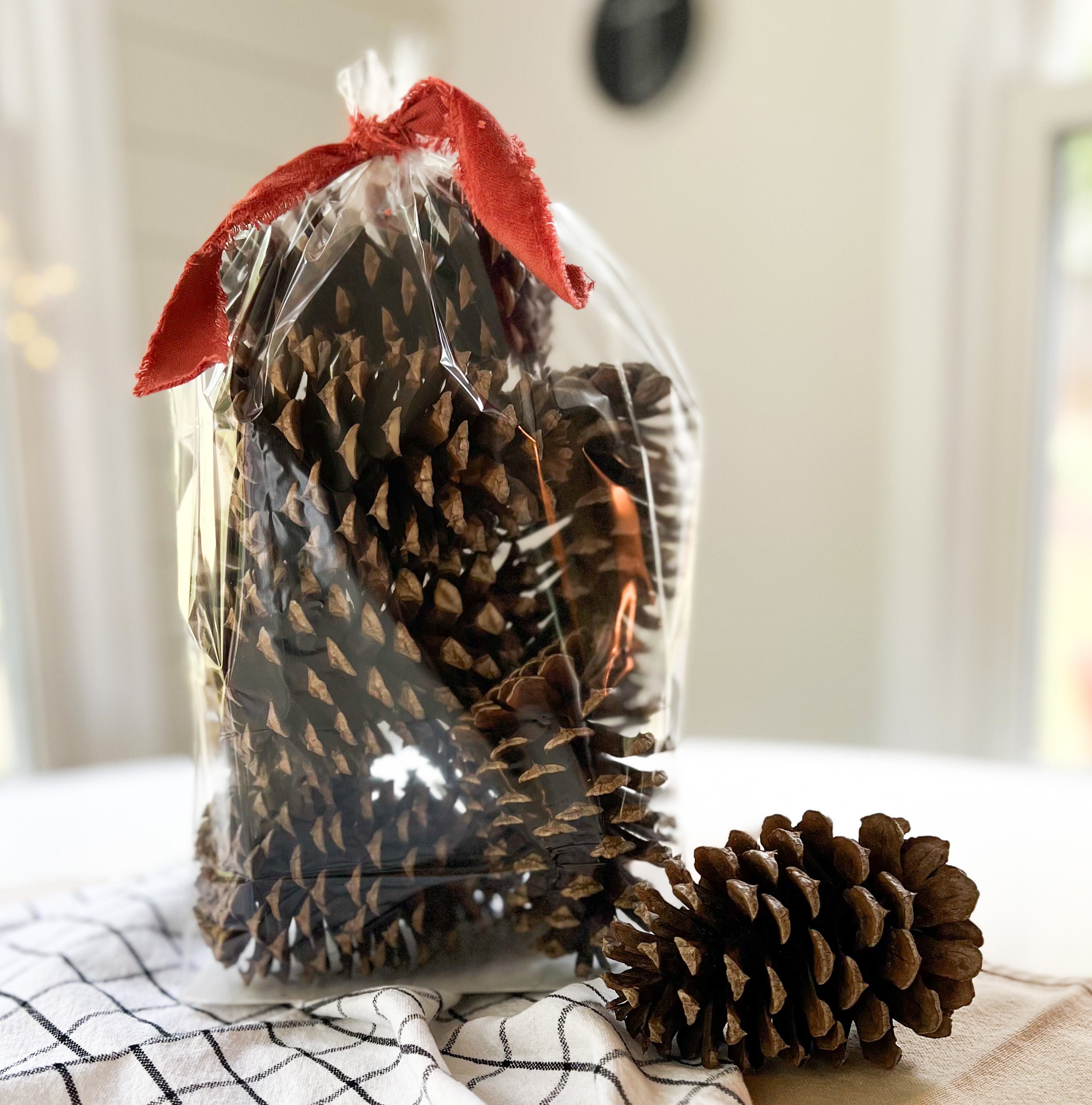 Cinnamon Pinecones Real Pinecones Classic Holiday Décor Natural ...