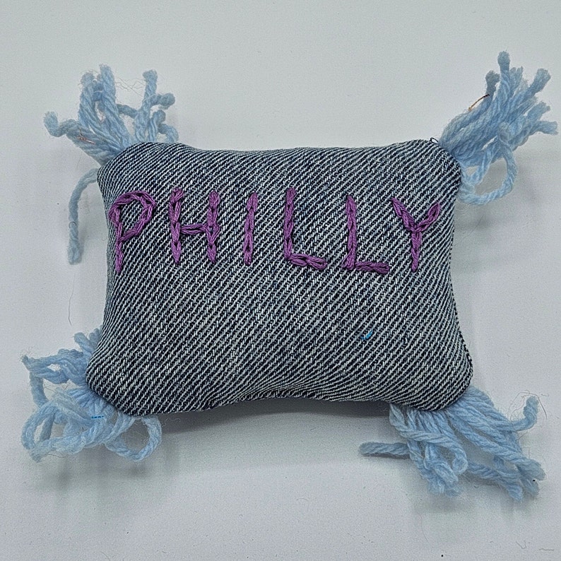 Your Cat's Name(s) on Set of 3 Catnip Toys, Handmade From Upcycled ...