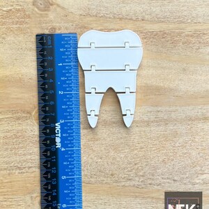 3d Printed Tooth, 3d Printed Fidget, Tooth Fairy Gift, Dentist Gift ...