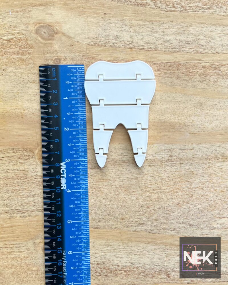 3d Printed Tooth, 3d Printed Fidget, Tooth Fairy Gift, Dentist Gift ...