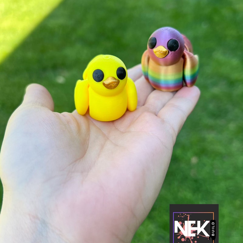 Rainbow Duck 3d Print - Etsy