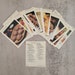 Vintage Betty Crocker Recipe Cards Set of 5 Without Divider Card, Gift ...