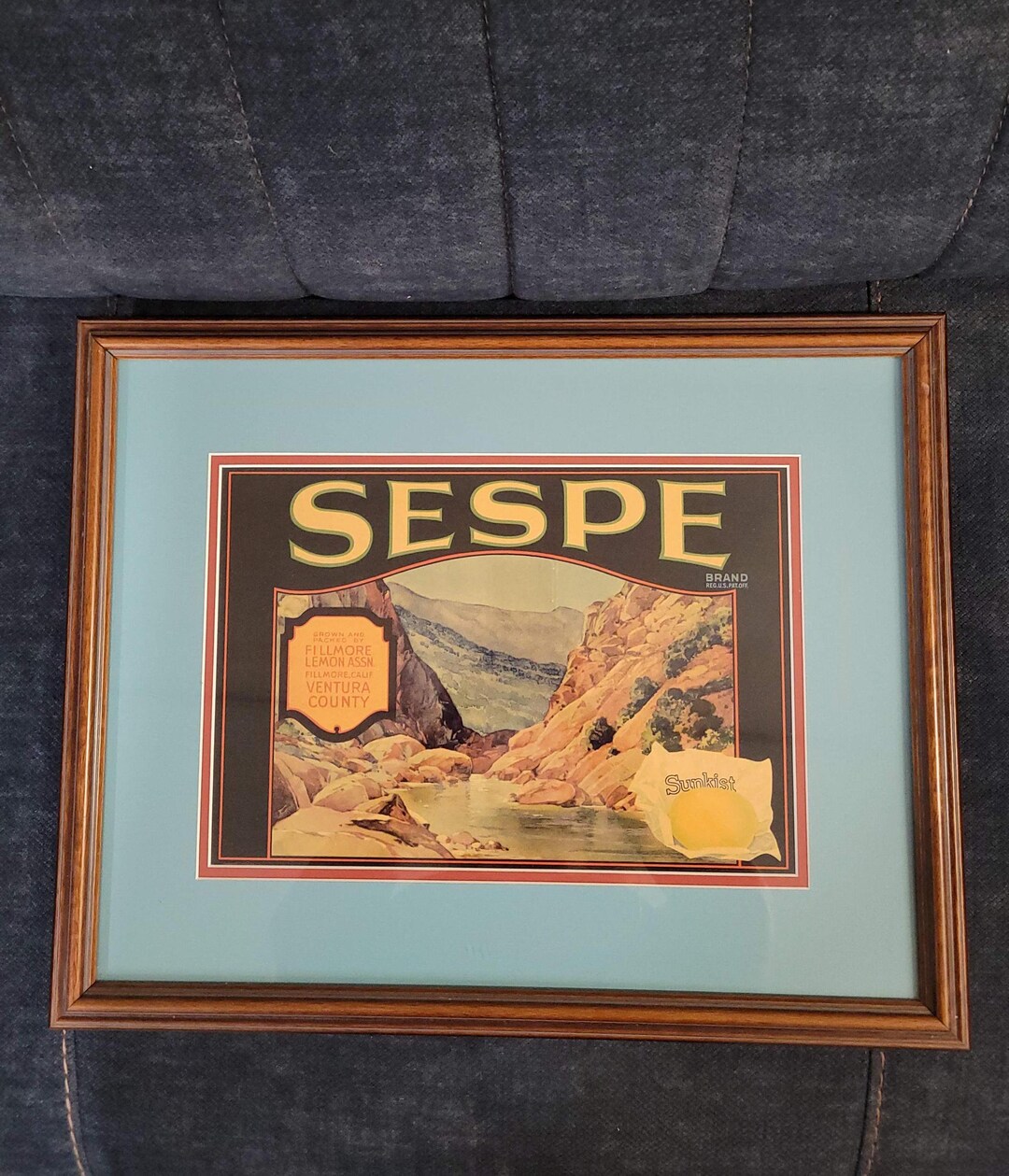 1940's Sespe Brand Lemons Fruit Packing Crate Label 19x15 Wood Framed Wall Art Ventura County ...