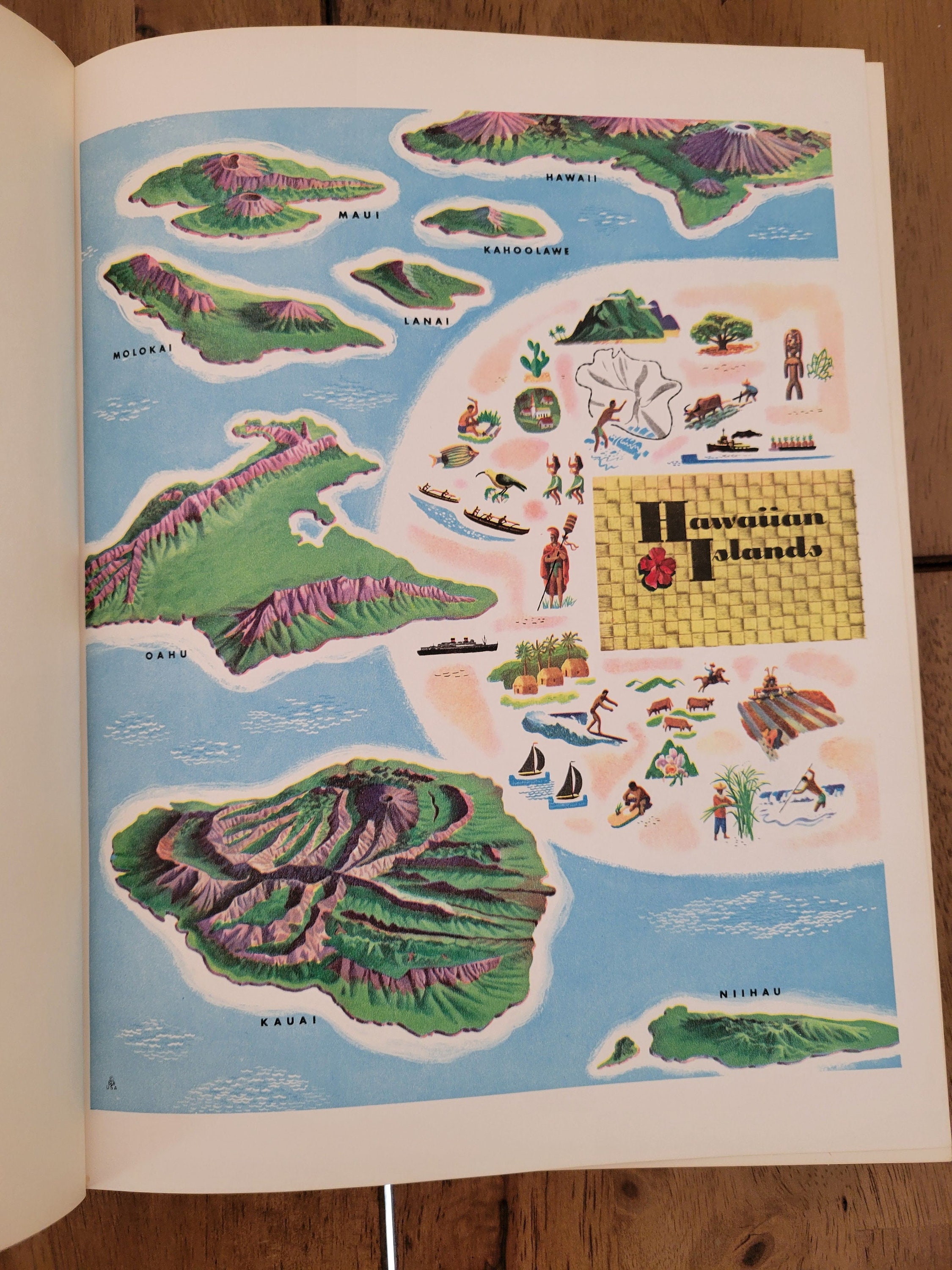 The Hawaii Book Story of Our Paradise 250 Illustrations 59 in Color - Etsy