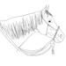 Horse Head Drawing, Bosal Drawing, Digital Horse Head, Mecate Reins ...