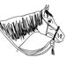 Horse Head Drawing, Bosal Drawing, Digital Horse Head, Mecate Reins ...
