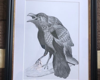Raven A4 Art Print - Etsy