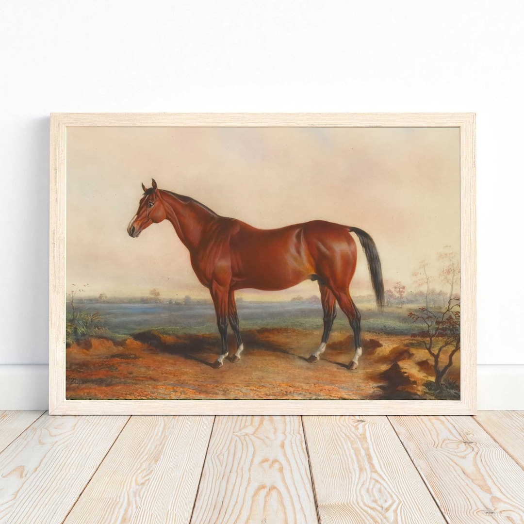 Lexington Famous Race Horse and Nineteenth Century Stallion - Vintage ...