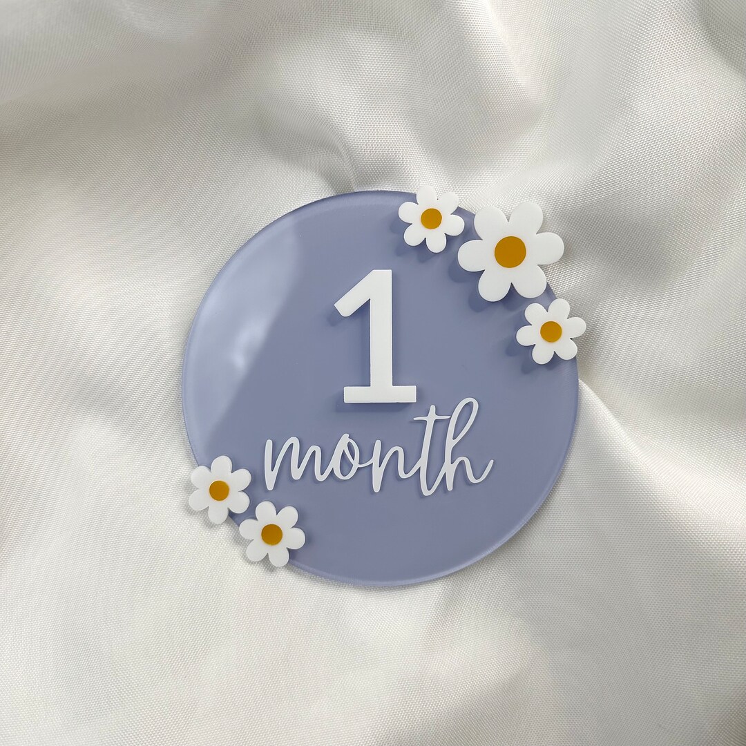 Acrylic Baby Age Milestone Discs With Interchangeable Numbers - Etsy