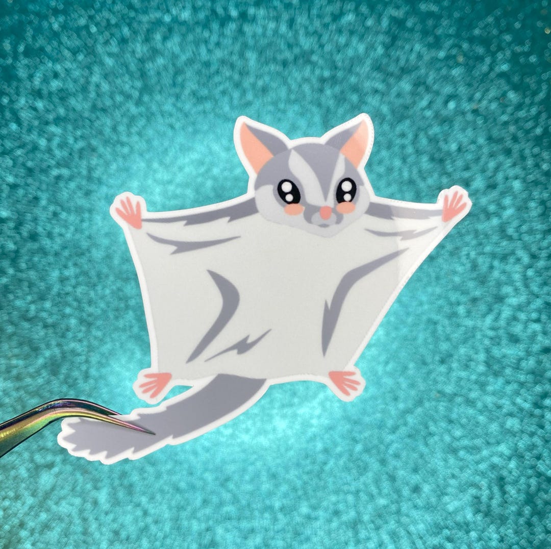 Flying Squirrel Sticker Animal Sticker Waterproof Vinyl Sticker - Etsy