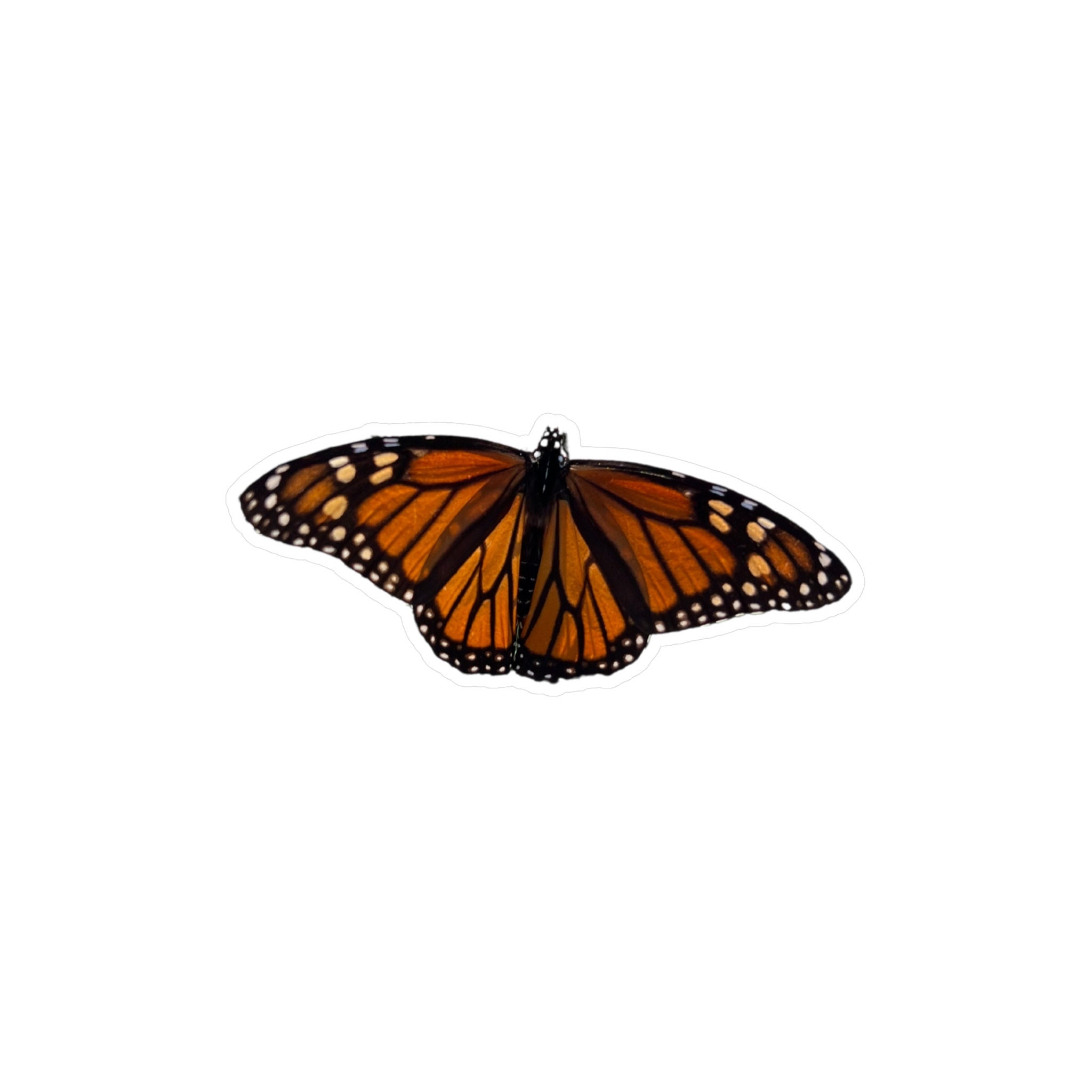 Monarch Butterfly Vinyl Decals - Etsy