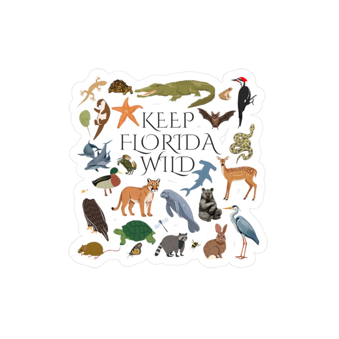 Keep Florida Wild Vinyl Decals - Etsy