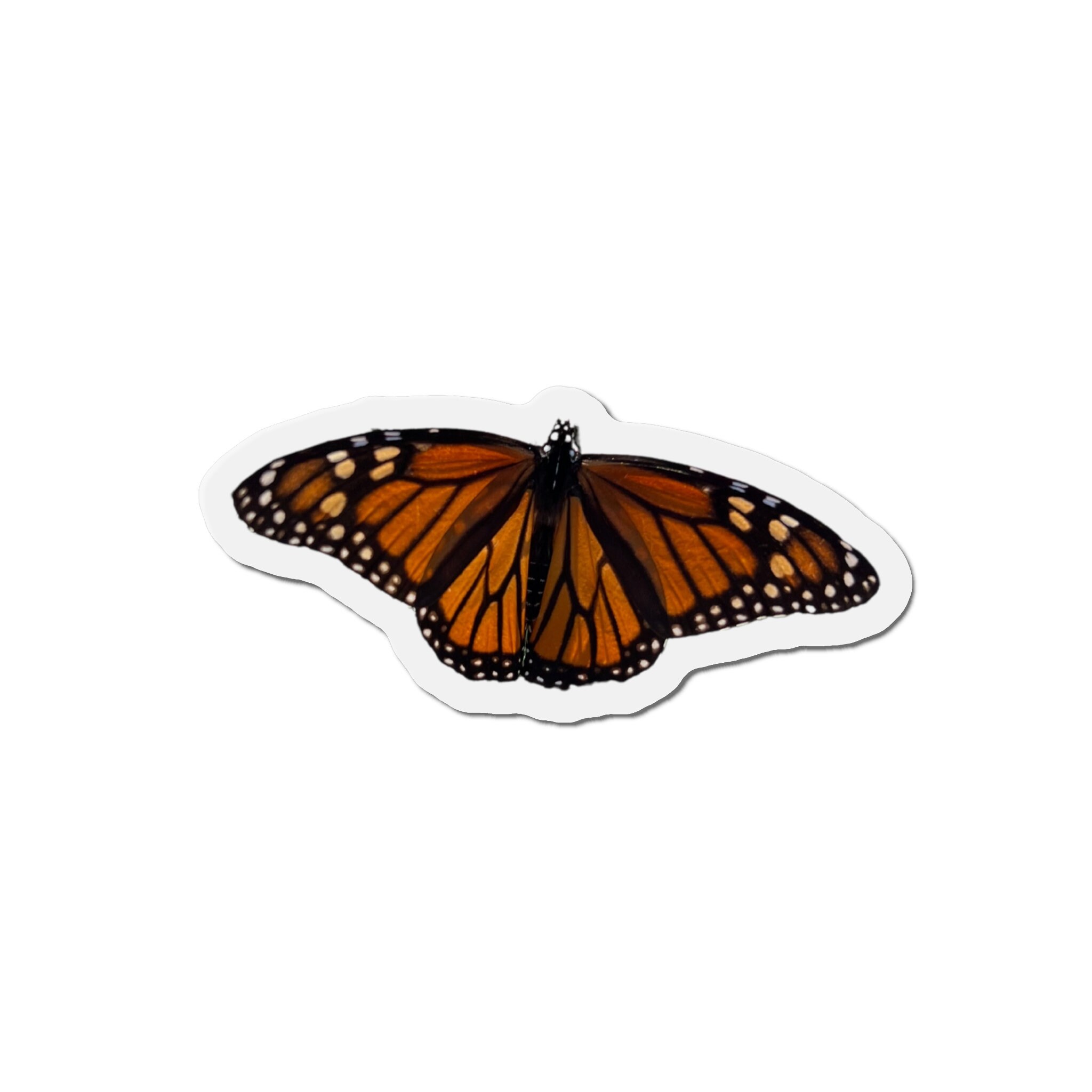 Monarch Butterfly Magnets - Etsy
