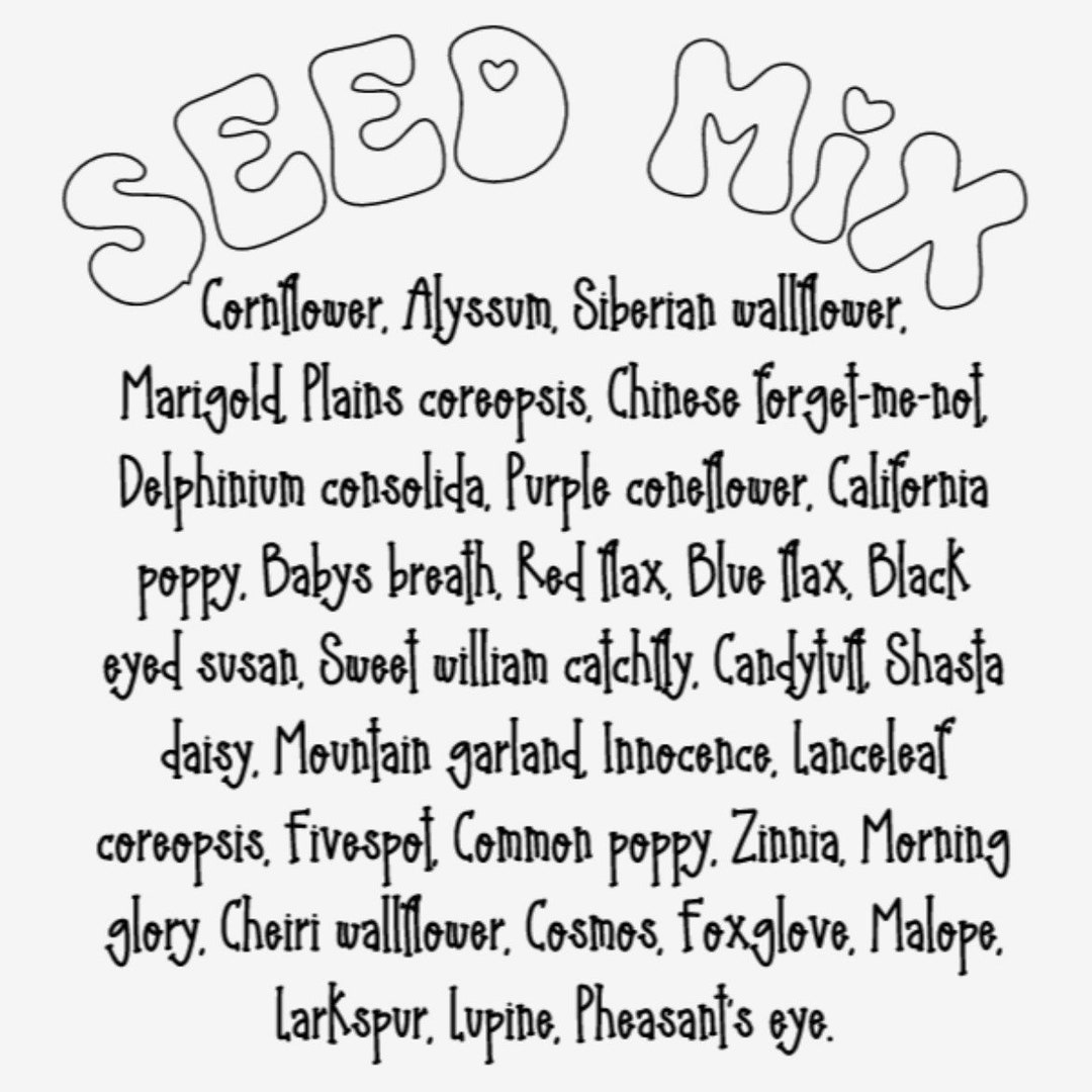 Pollinator Garden Seed Bombs - Etsy