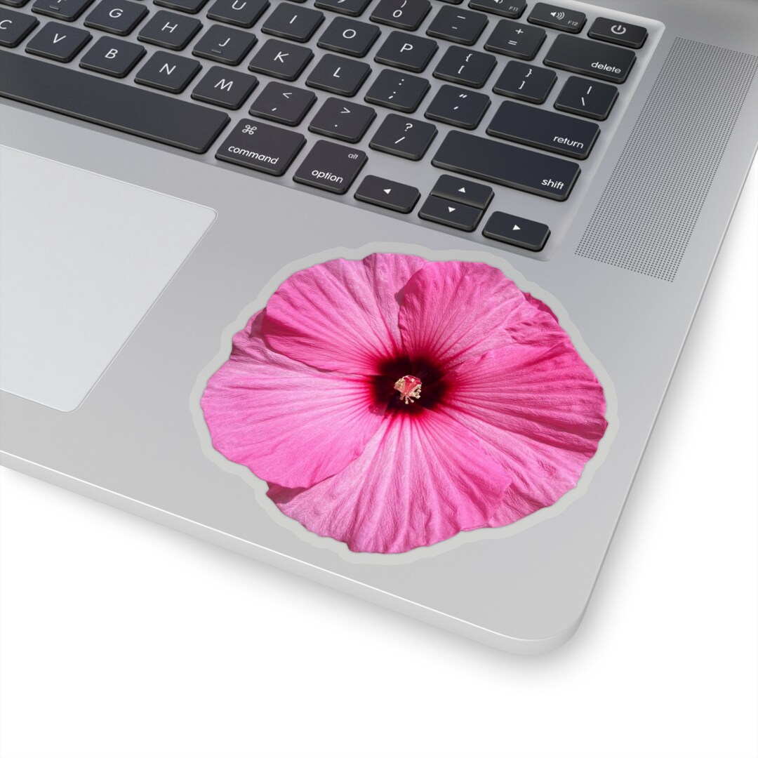 Hibiscus Stickers - Etsy