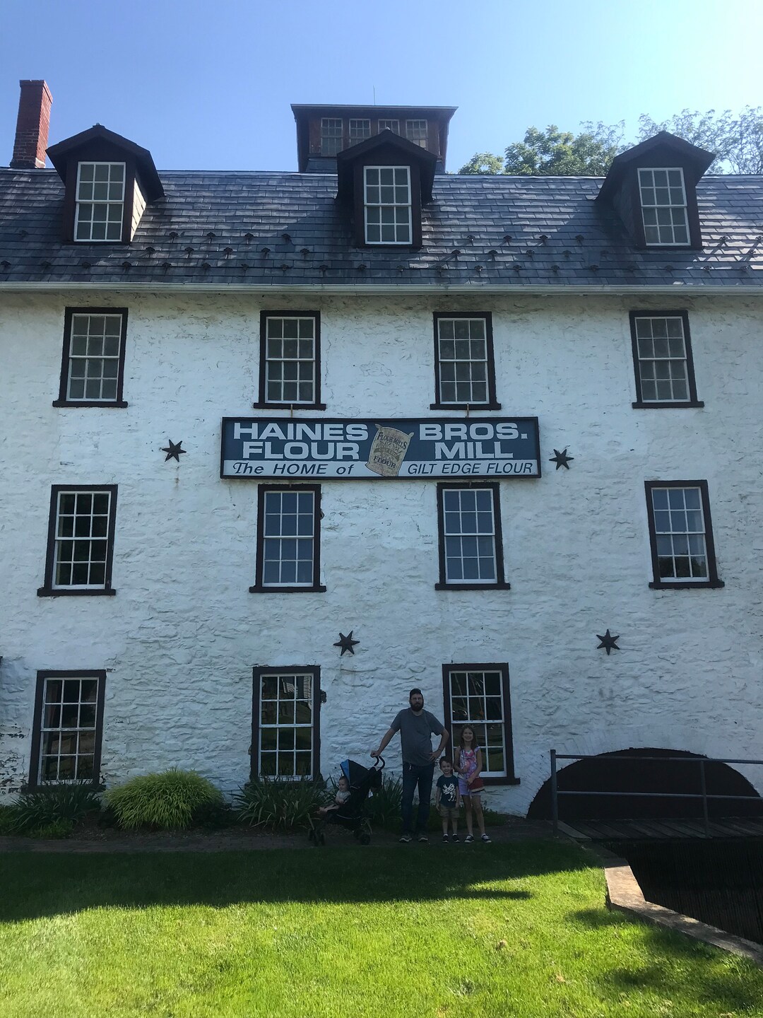 Vintage Farm Animal Wallpaper Border - Etsy