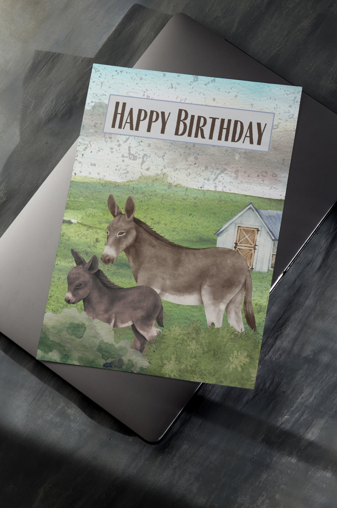 Handmade Birthday Greeting Card, Animals, Mermaids, Donkey, Fish ...
