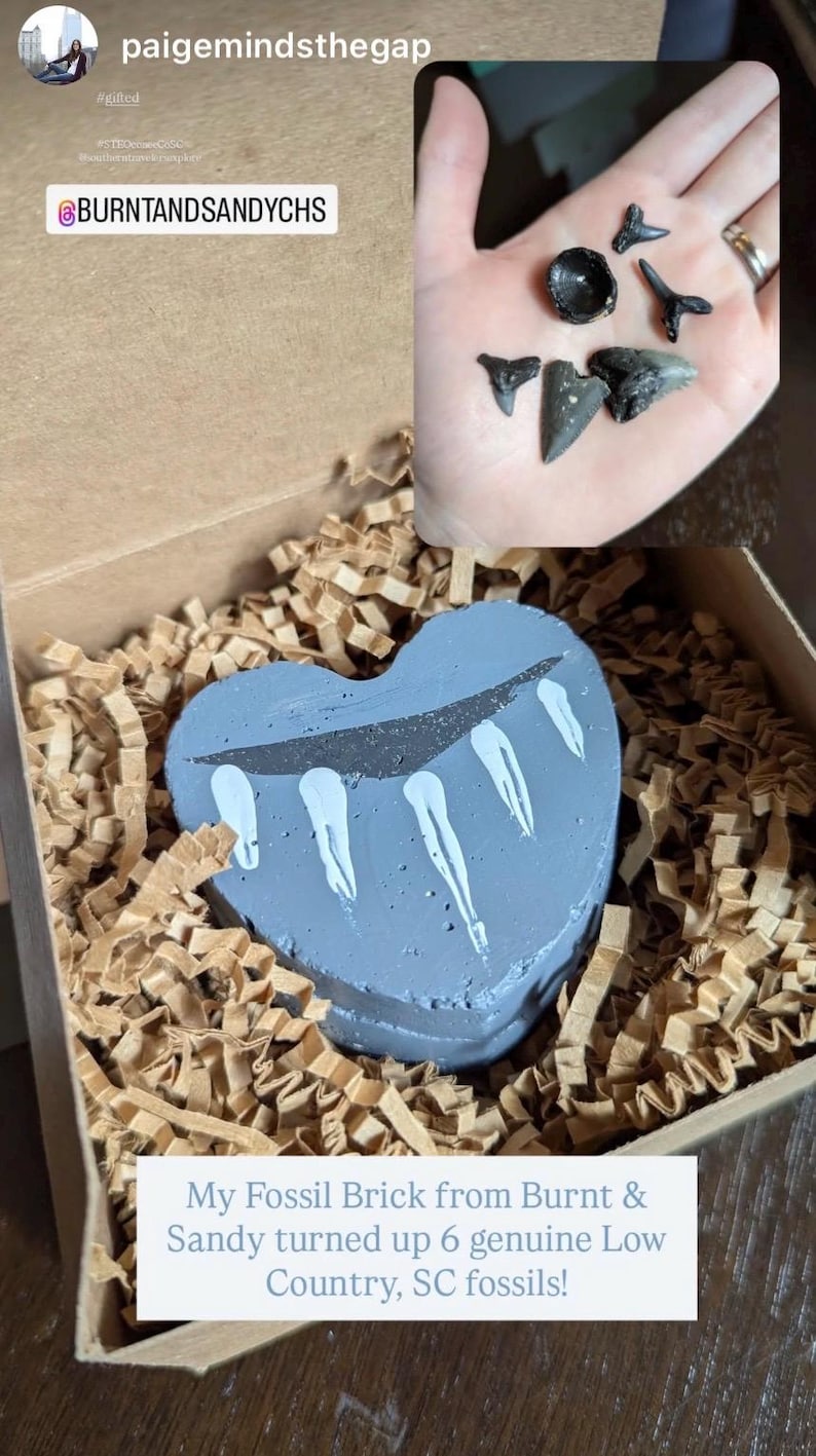 Fossil Bricks- DIY Architectural Dig Activity (set of Two) - Etsy