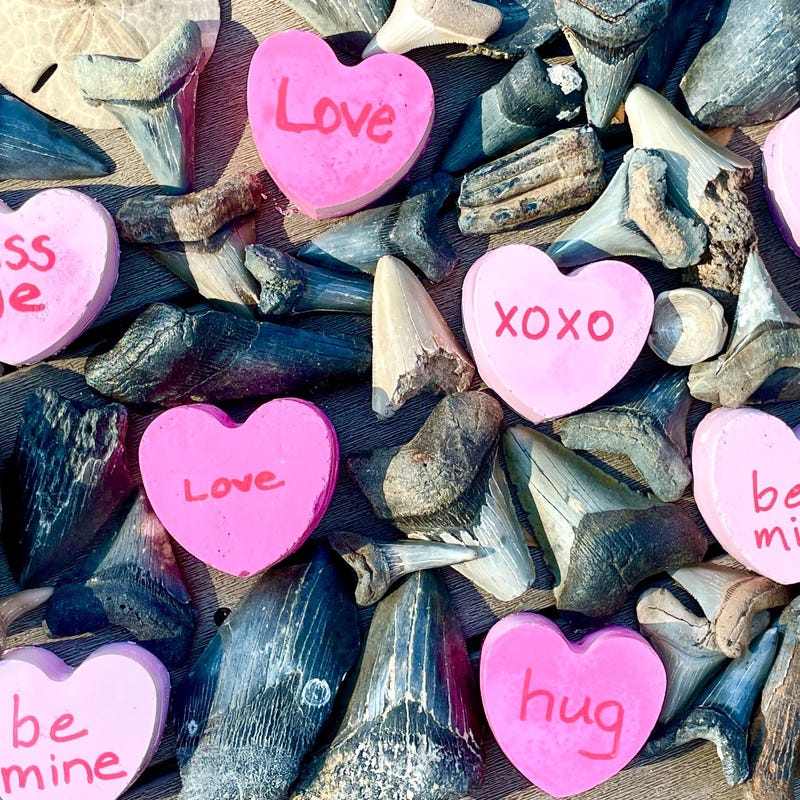 Tooth Kit Diy - Etsy