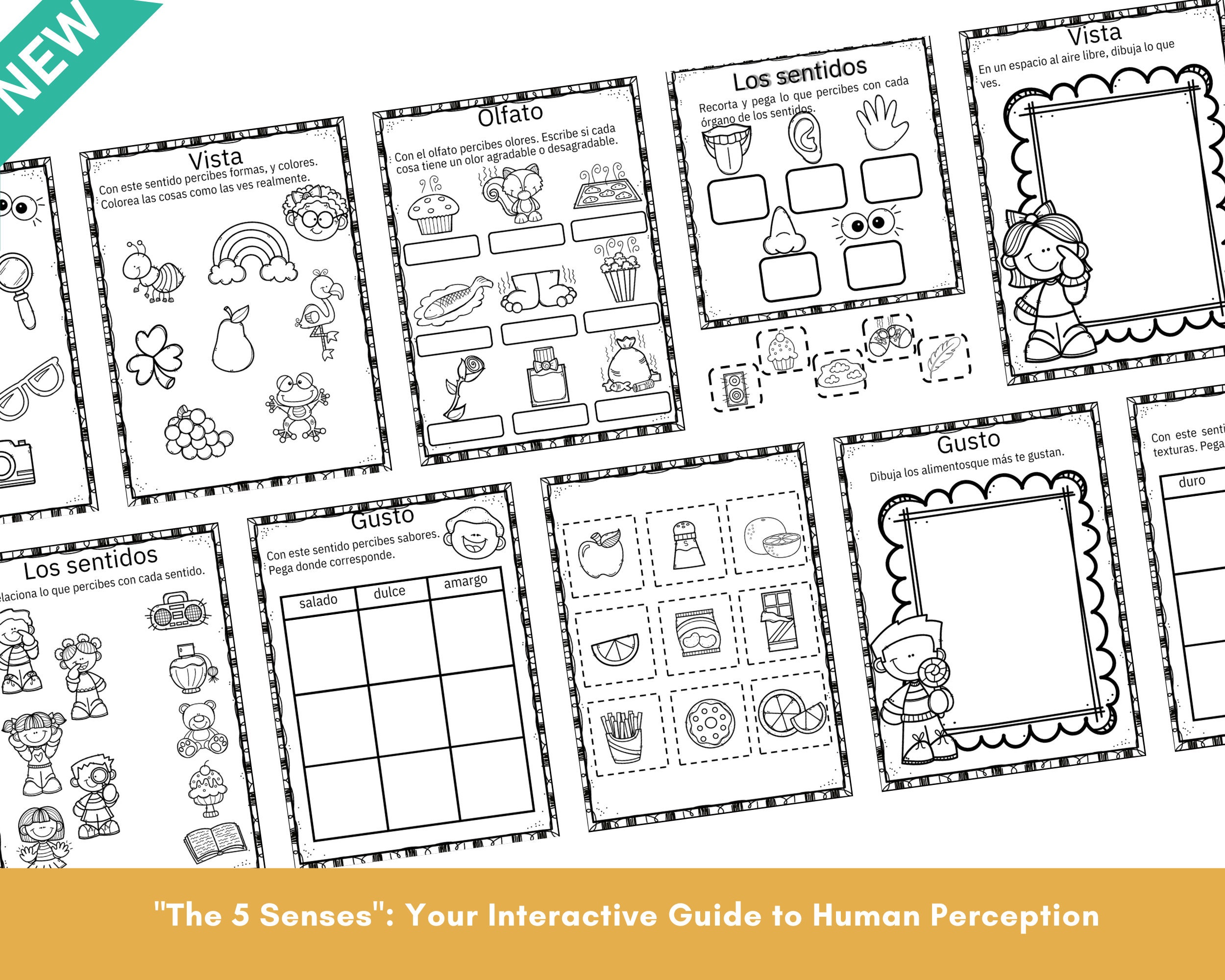 The 5 Senses, Sensory Learning, Explore Human Senses, Educational ...