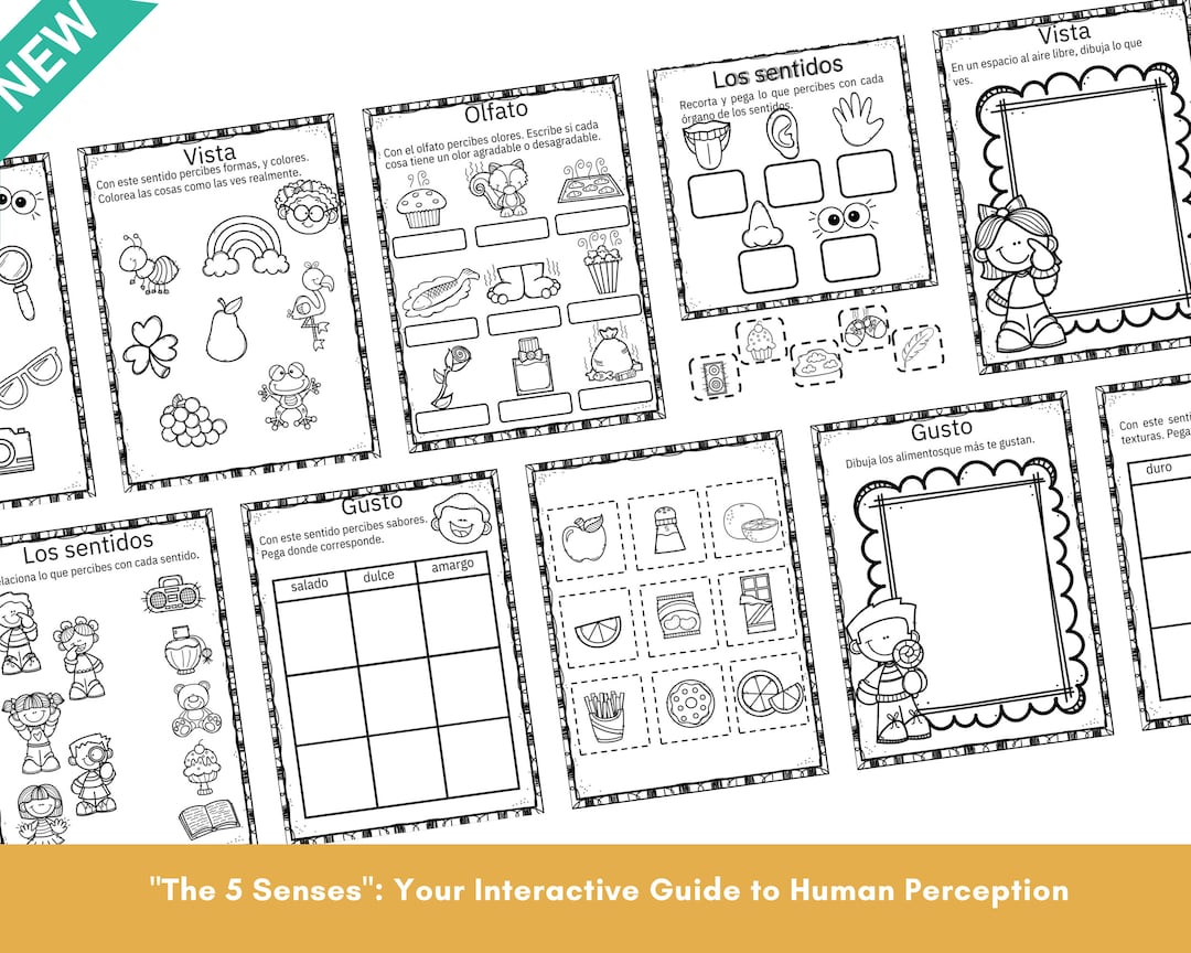The 5 Senses Learning Kit: Sensory Activities (digital Download) - Etsy