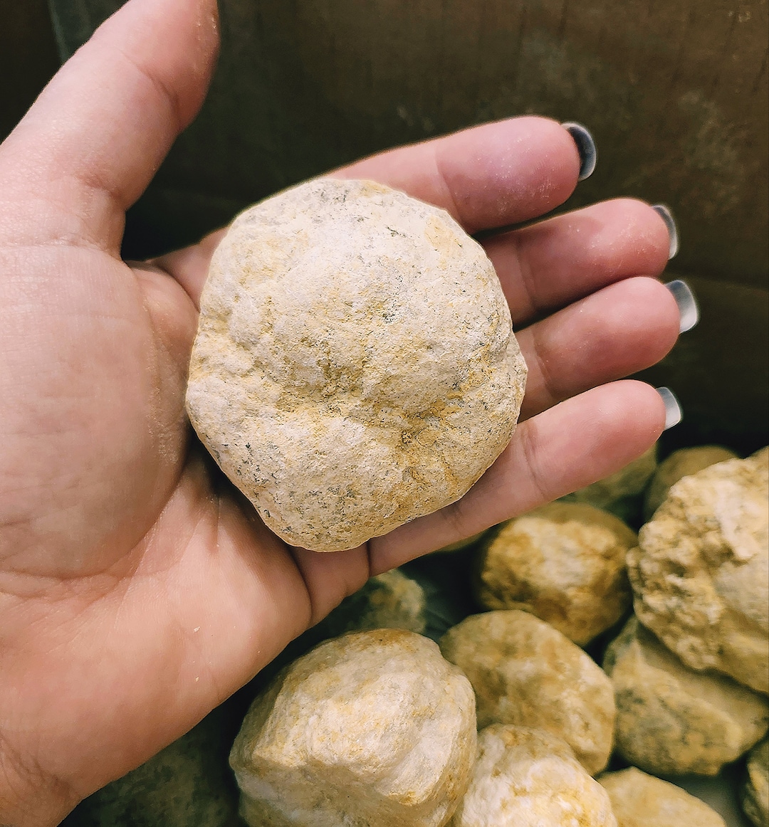 Break Your Own Geodes, White Interior - Etsy