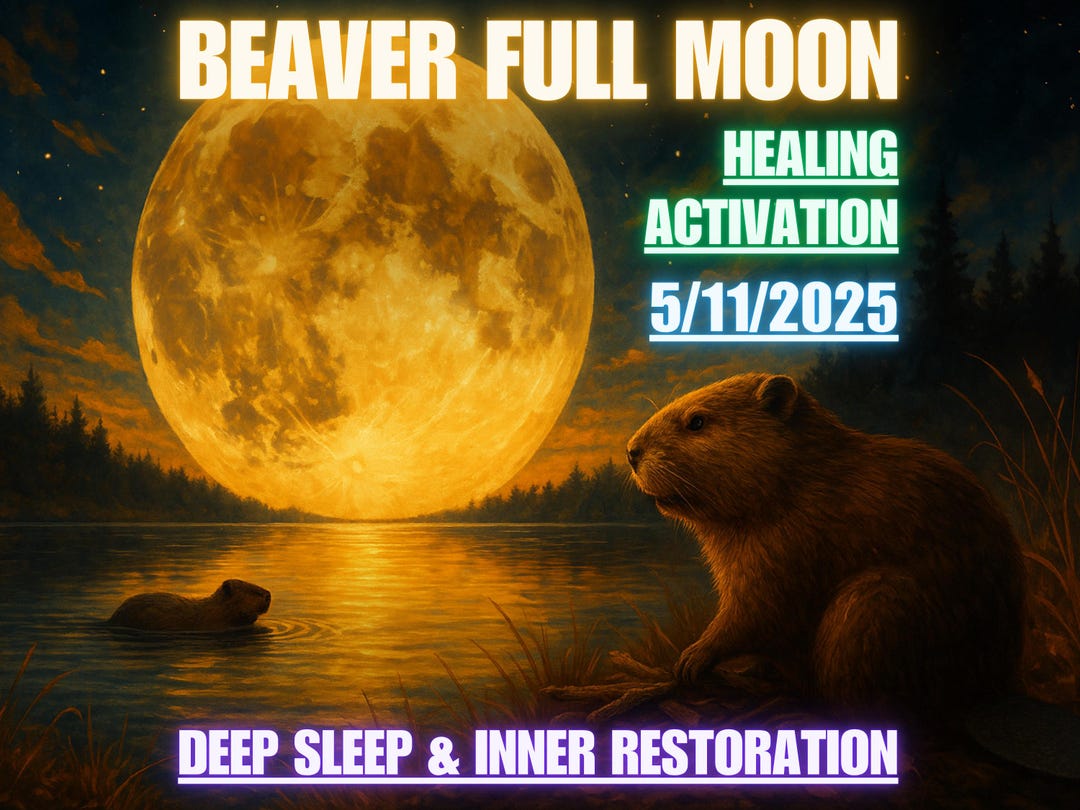Beaver Full Moon Healing Activation – Deep Sleep & Inner Restoration - Etsy